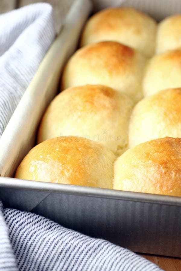 Homemade Dinner Rolls stock photo. Image of supper, sandwich - 60313116