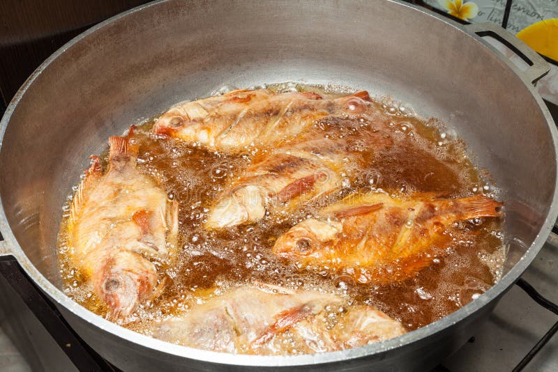 Pan with Hot Oil Where Delicious Tilapia are Fried Stock Image - Image ...