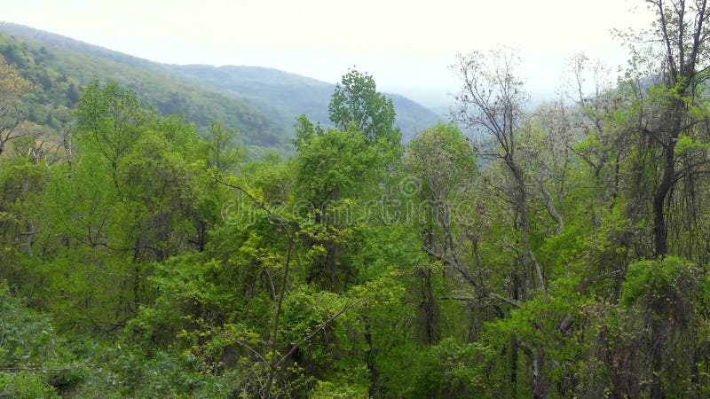 Georgia Vogel Park Springtime a Pan Left To Right at the Overlook at ...