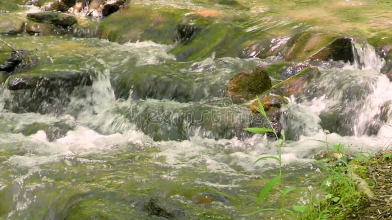 Georgia Amicacola Falls a Pan Left To Right on a Small Waterfall on the ...