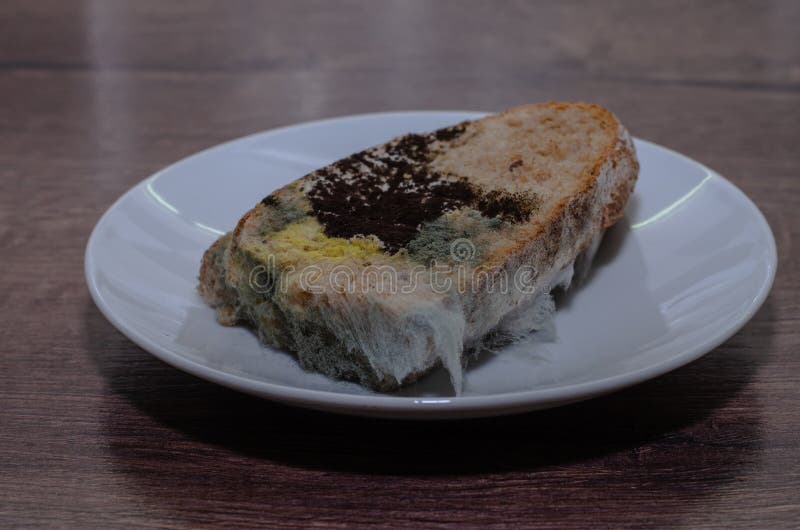 Pan Rancio Cubierto De Moho Negro En Un Platillo Blanco Imagen de ...