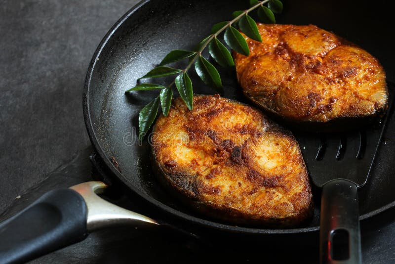 Pan fried King fish stock image. Image of spicy, fillets - 101428275