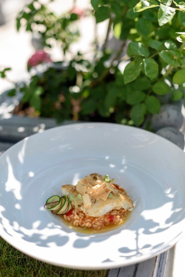 Pan Seared Halibut with Tomato Risotto Stock Image - Image of ...