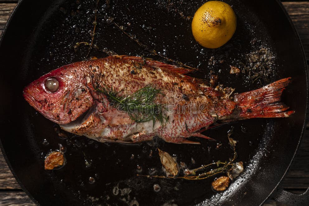 Pan seared red snapper stock image. Image of seared - 288439647