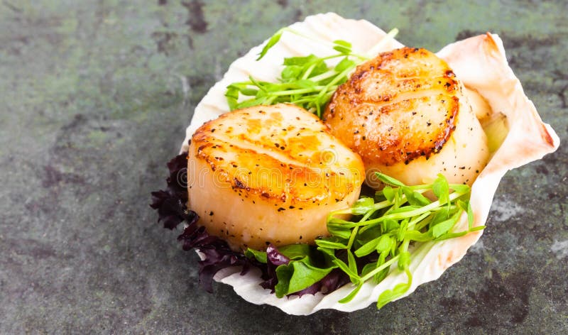 Pan Seared Scallops on a Half Shell Stock Image - Image of shellfish ...
