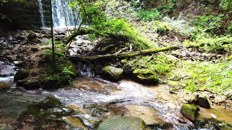 Pan View of a Small Waterfall Stock Video - Video of wilderness, season ...