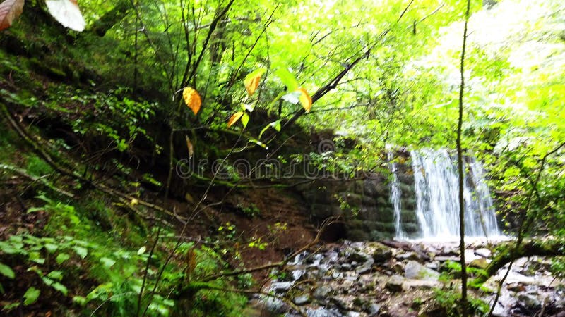 Pan View of Small Waterfall Stock Video - Video of view, park: 255329063