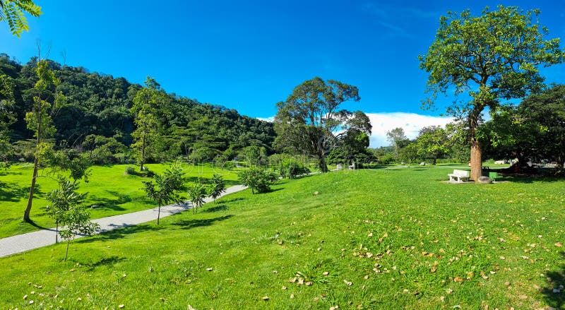 Panama, Boquete, Pedestrian Path that Crosses the Park Stock Photo ...