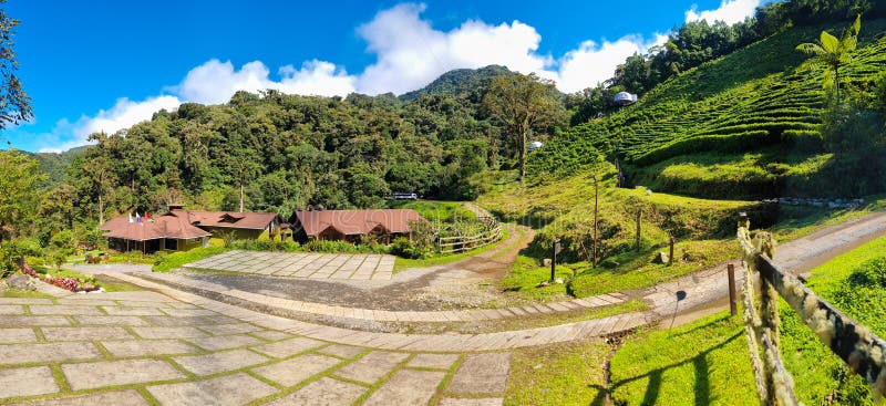Panama, Boquete, Tree Trek Lodge and Resort, Panoramic View Editorial ...