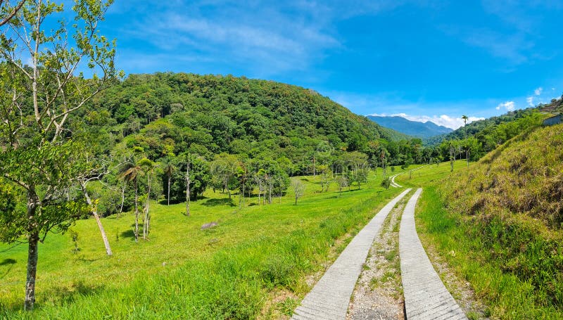 Panama, Cochea, Path in the Valley Towards the Baru Volcano Stock Image ...