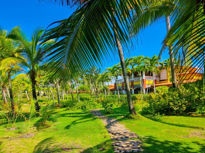 Panama, David, Path in the Palm Grove of Barqueta Beach Editorial ...
