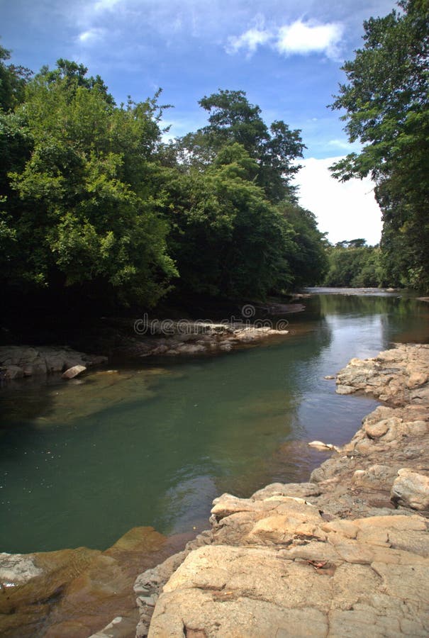 Panama highlands nature stock photo. Image of home, republic - 42280944
