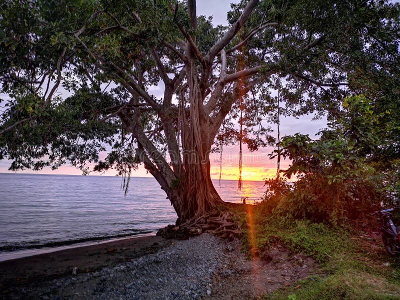 Panangga Stock Photos - Free & Royalty-Free Stock Photos from Dreamstime