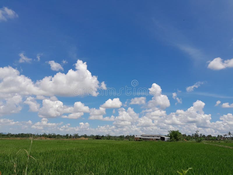 Panaroma Clude stock image. Image of clude, clouds, panaroma - 382344067