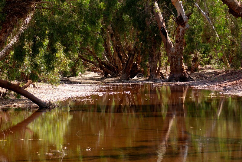Panawonica Water Hole stock photo. Image of landscape - 11620808