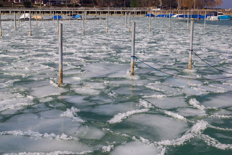 Pancake Ice Floating at the Harbor on the Lake of Constance Stock Image ...