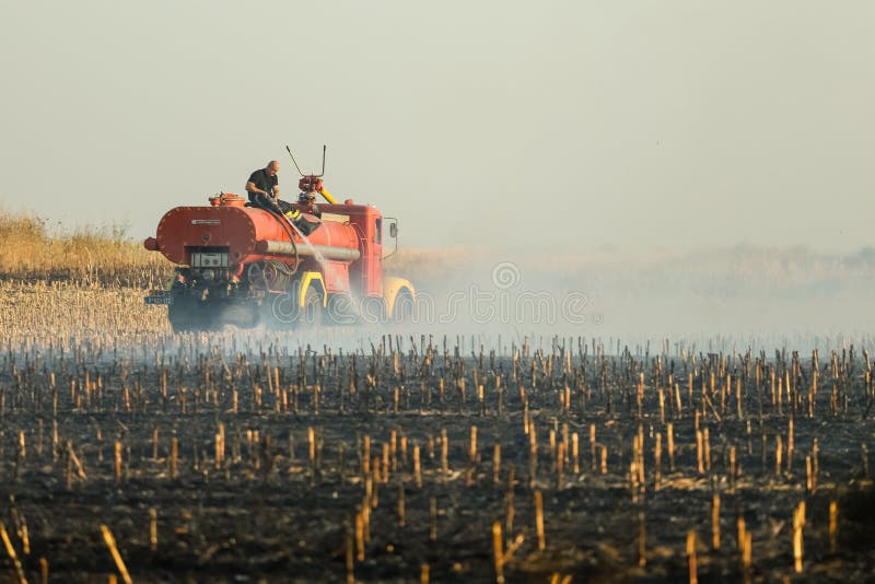 Fire Set on Corn Field.Burning Corn Field after the Harvest Stock Photo ...