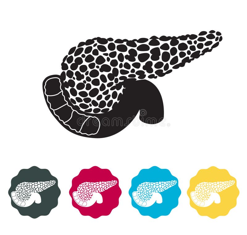 Pancreas - Body Part - Stock Icon Stock Illustration - Illustration of ...