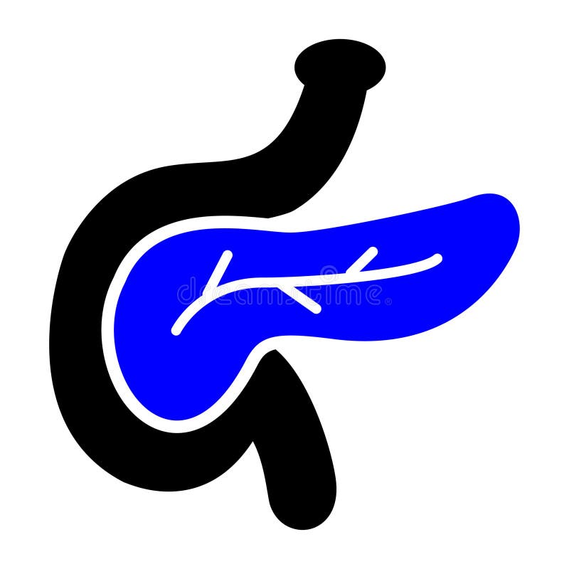 Pancreas Vector Icon stock vector. Illustration of organ - 337568403
