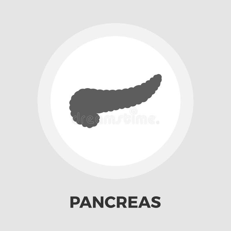 Pancreas icon stock vector. Illustration of human, medical - 90429411