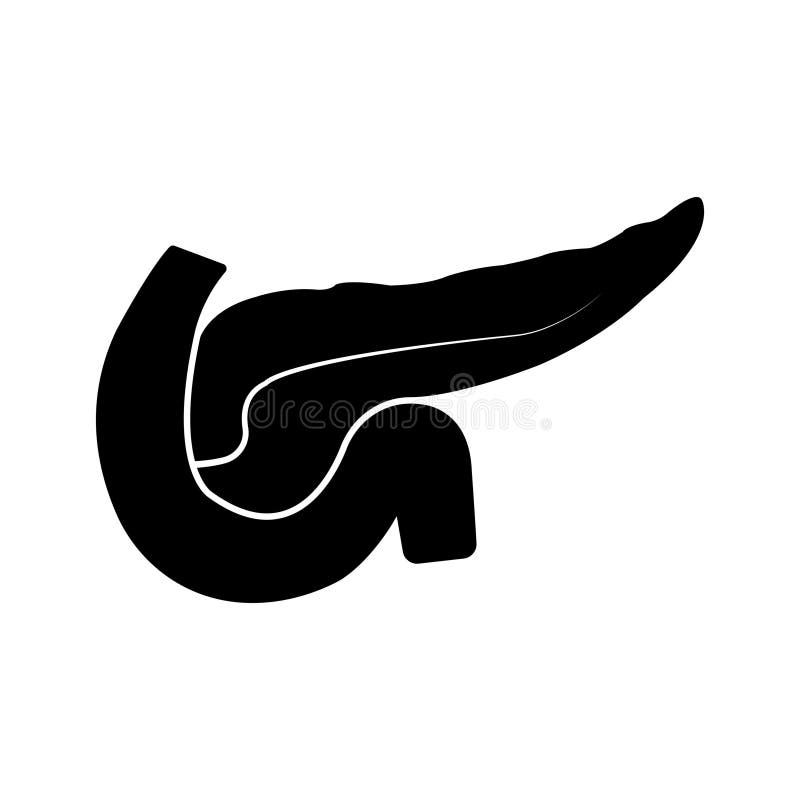 Pancreas icon stock vector. Illustration of white, glucose - 311775515