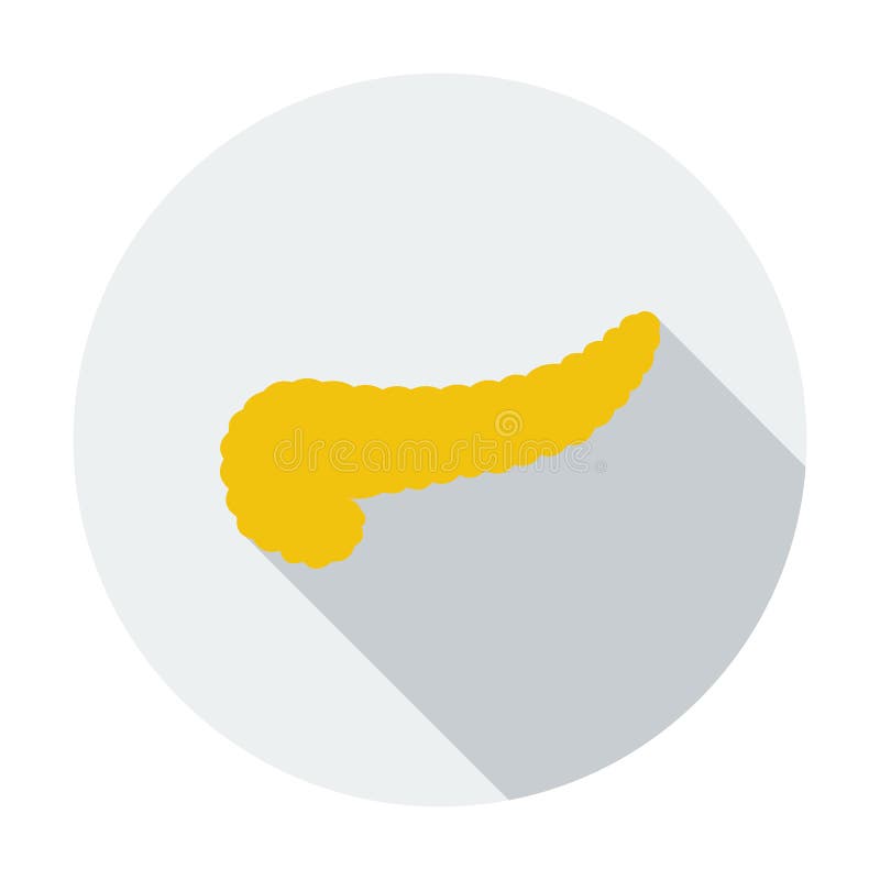 Pancreas icon. stock vector. Illustration of glucose - 90294970