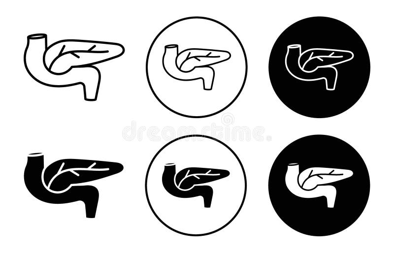 Pancreas icon stock vector. Illustration of system, icon - 325375240