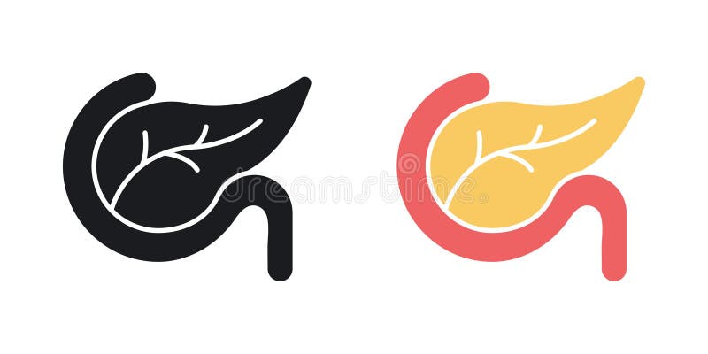 Healthy Pancreas Concept Vector Illustration Stock Illustrations – 867 ...