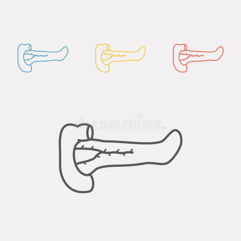 Pancreas line icon stock vector. Illustration of treatment - 222202058