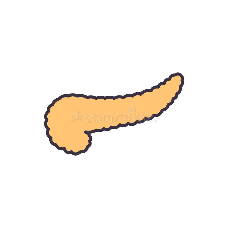 Pancreas Vector Line Icons stock vector. Illustration of pancreas ...