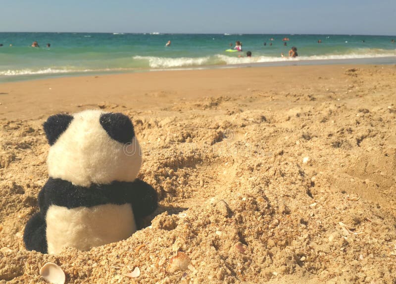 Sand panda stock photo. Image of beach, sand, sculpture - 43626404