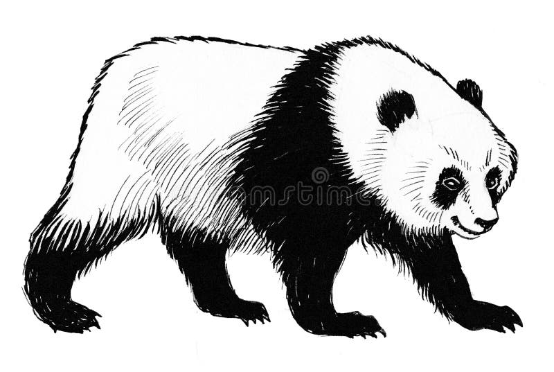 Panda bear stock illustration. Illustration of animal - 101441235