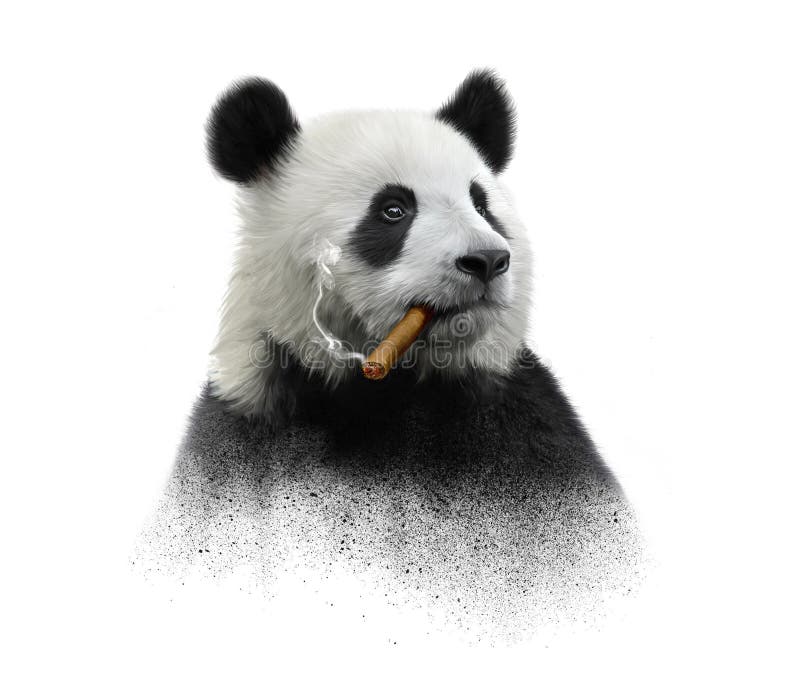 Panda Smoking Stock Illustrations – 24 Panda Smoking Stock ...