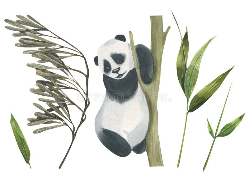 Panda Crawling on a Tree with Bamboo Leaves and Seeds. Watercolor ...