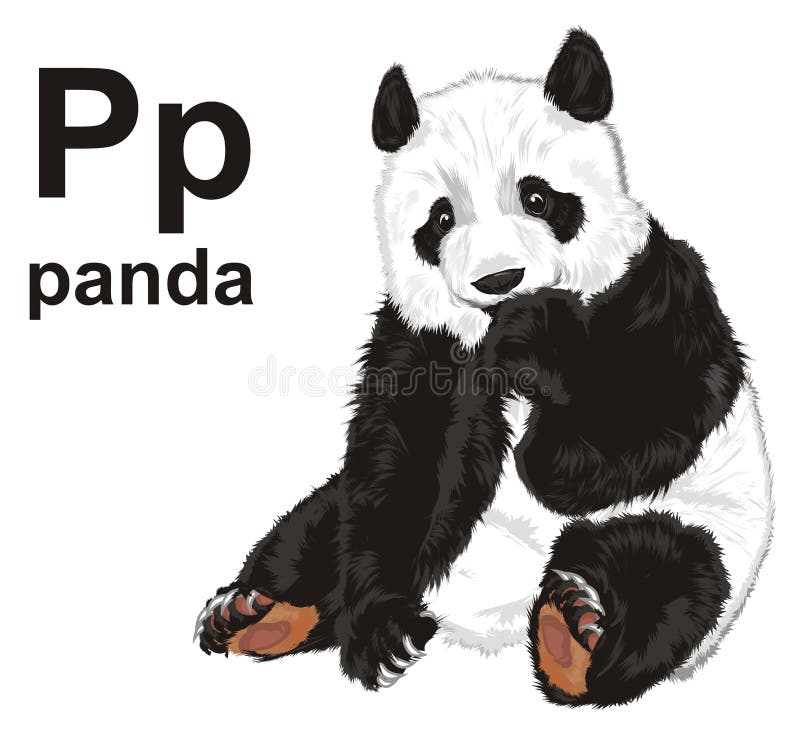 Panda e ABC ilustração stock. Ilustração de letras, postura - 107676134