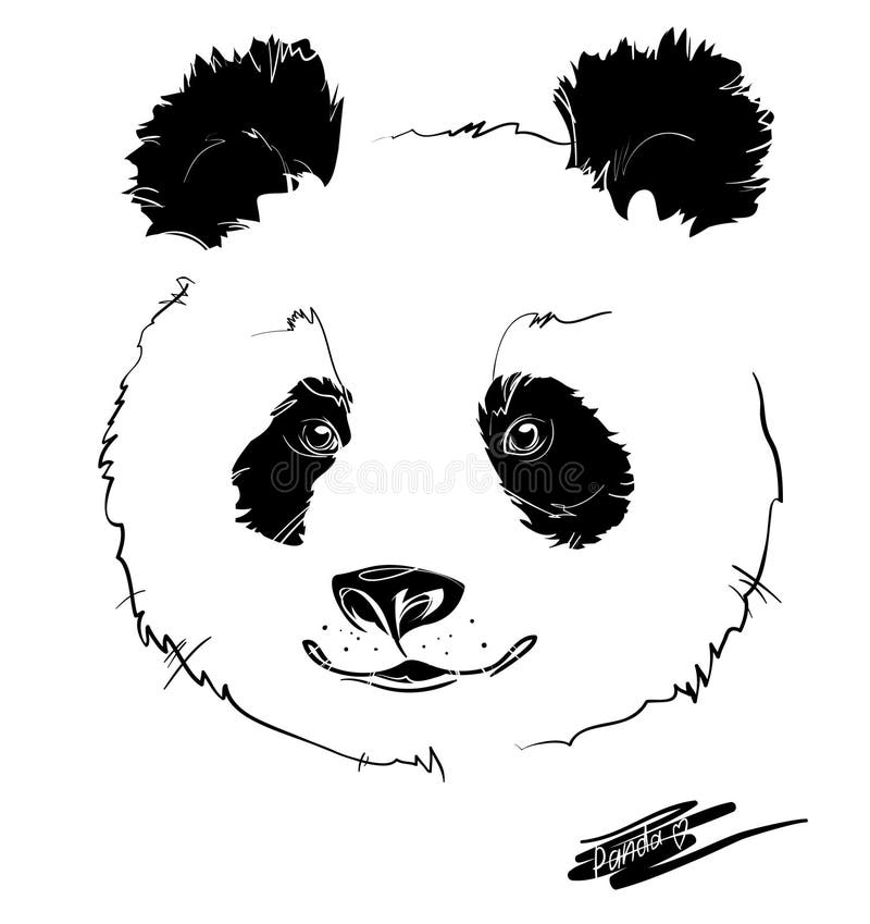 Panda head stock vector. Illustration of healthy, graphic - 36788676
