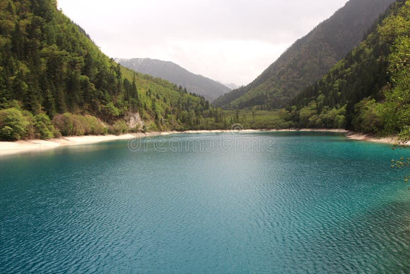 Panda lake stock photo. Image of light, forest, water - 5166318