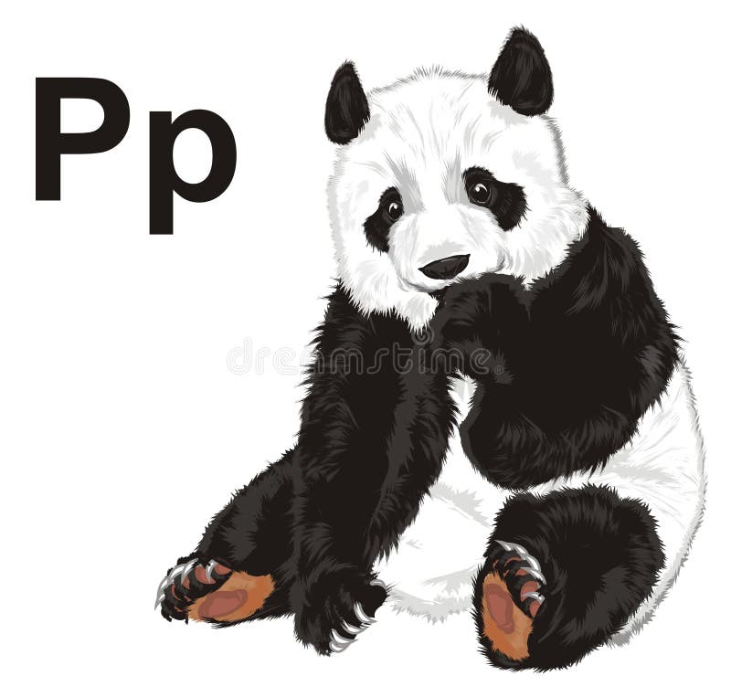 Panda and letters stock illustration. Illustration of bamboo - 107933585