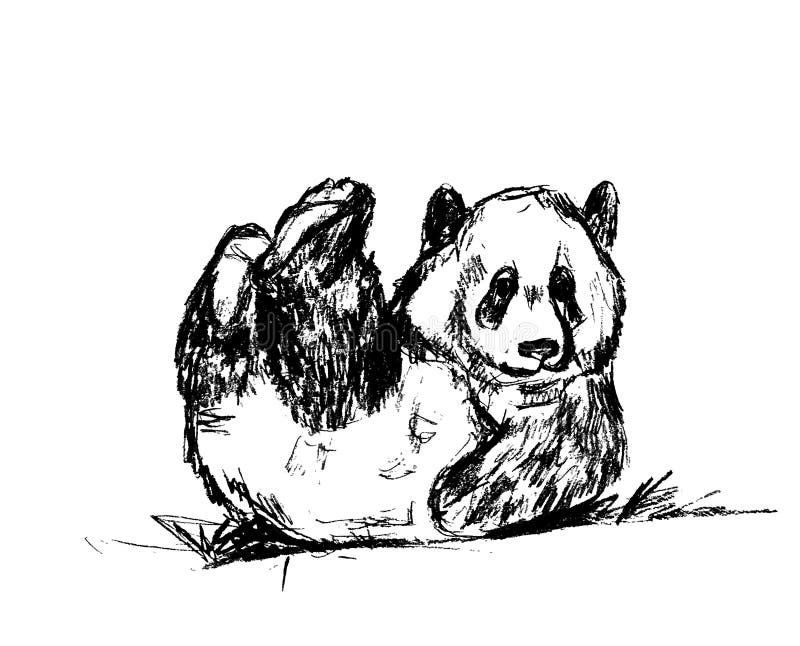 The Panda is Lying on Its Back Stock Illustration - Illustration of ...