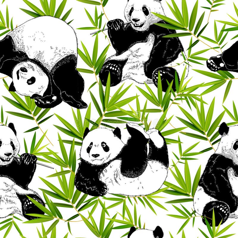 908_Panda_pattern stock vector. Illustration of mammal - 239503130
