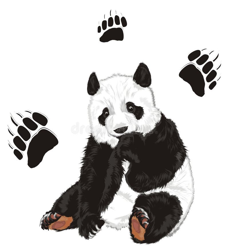 Bear and footprints stock illustration. Illustration of symbol - 107676341