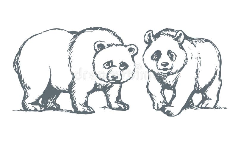 Panda standing side view stock vector. Illustration of face - 88536563