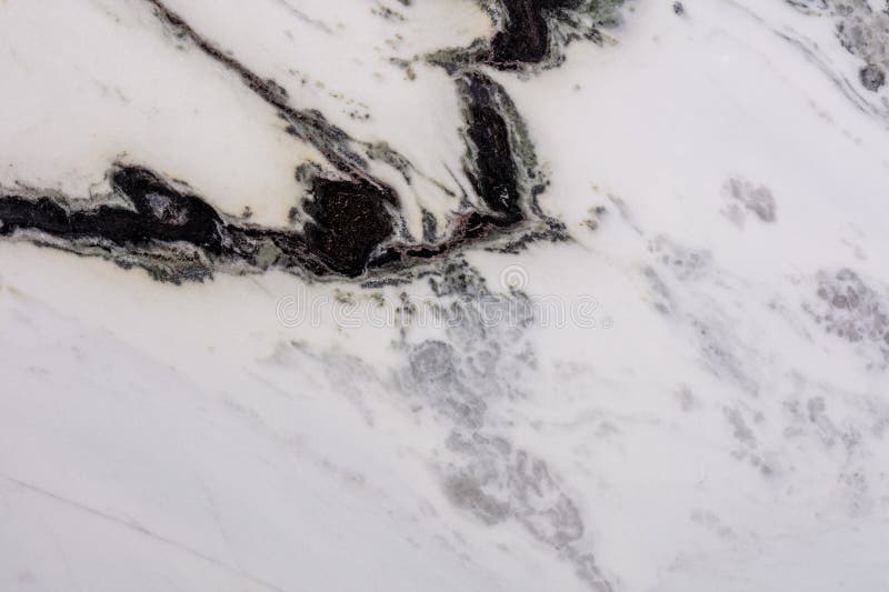 Panda White Marble Background, Texture in Classic Colors for Your ...