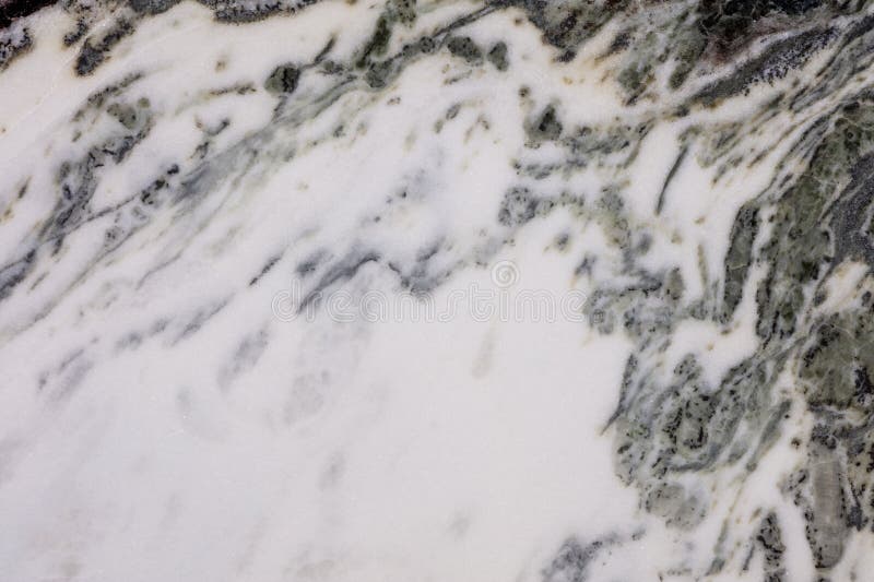 Panda White Marble Background Texture Classic Colors Your Interior Work ...