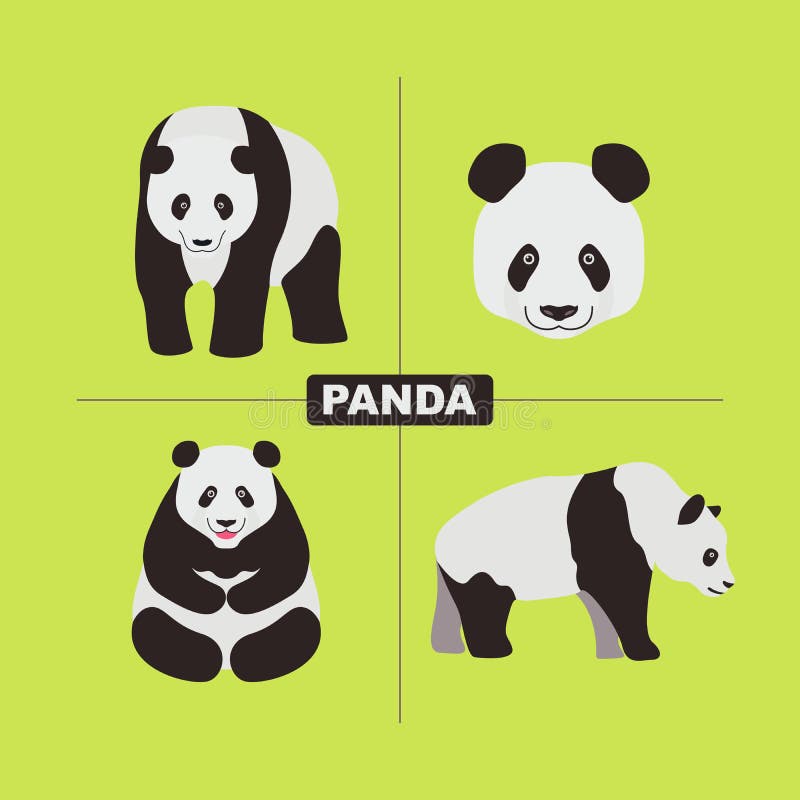 Panda Wildlife Chinese Animal Illustration de Vecteur - Illustration du ...