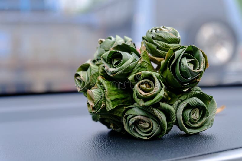 Pandan Flower Plant in the Garden Stock Photo - Image of produce, food ...