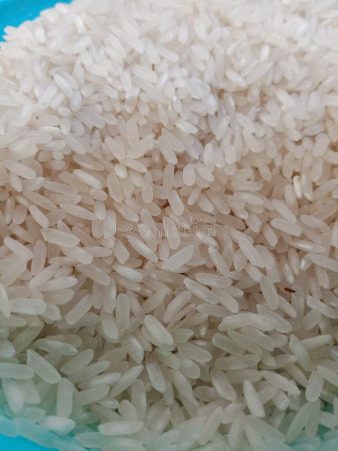 Fragrant Rice with Vegetables and Rabbit Meat Close-up in a Frying Pan ...