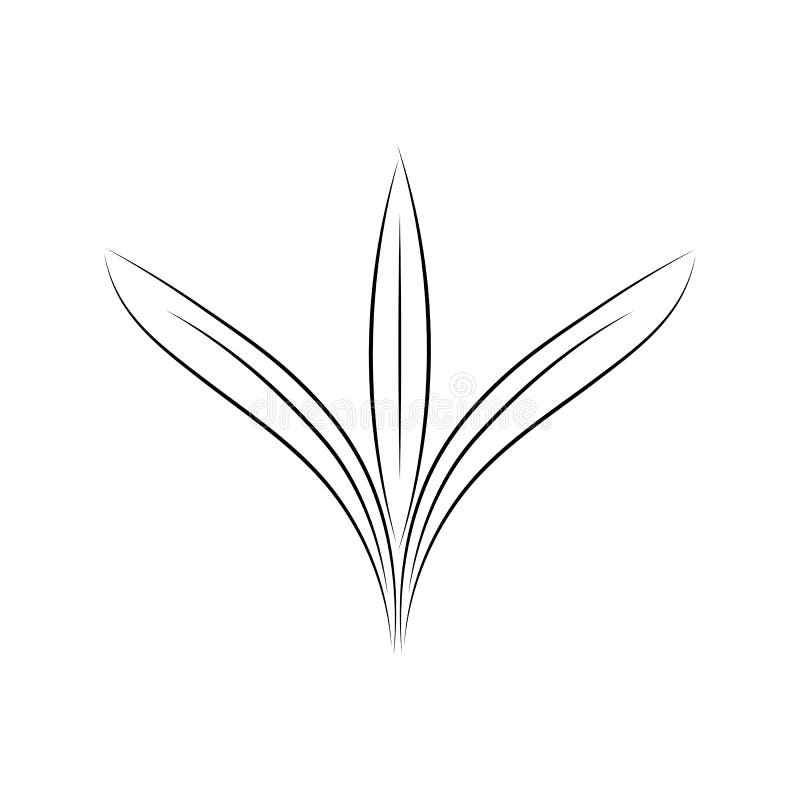 Pandan Leaf Illustration Icon Free Stock Vector - Illustration of ...