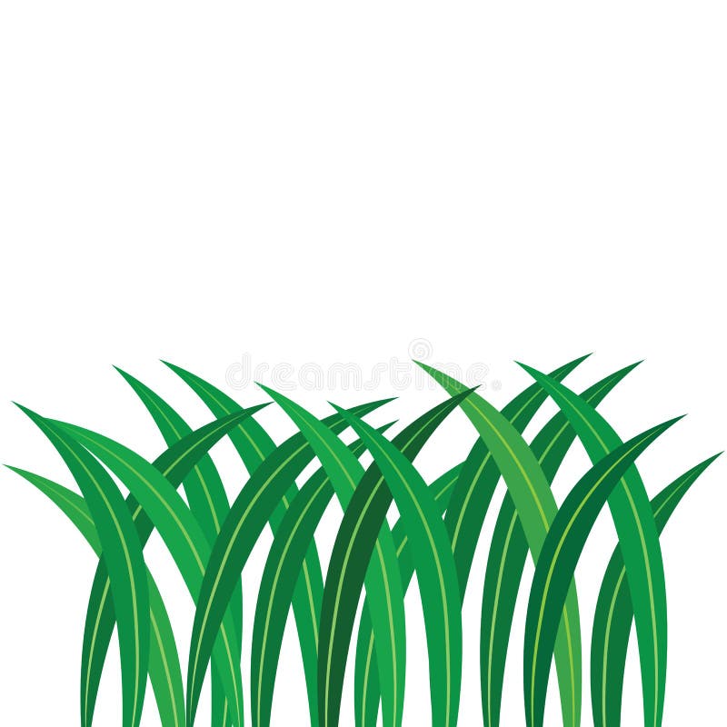 Pandan Leaf Illustration Icon Free Stock Vector - Illustration of flat ...