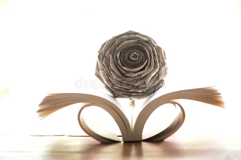 Pandan Leaves Folded Roses on Books Stock Image - Image of exterior ...